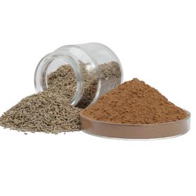 Spiceuticals Products | Akay Group | Oleoresin manufacturer ...